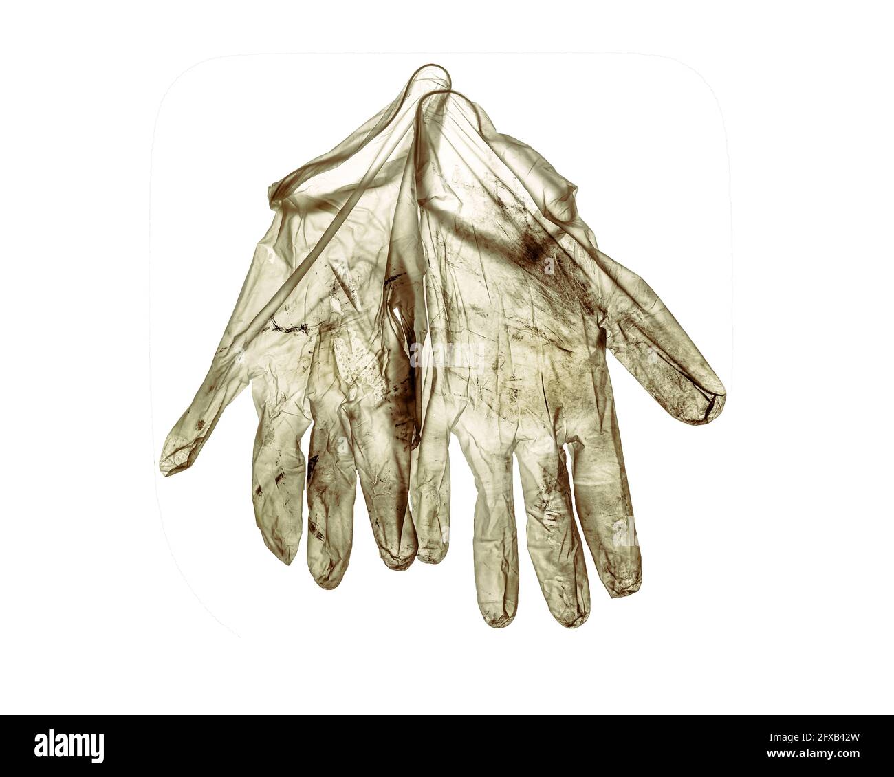 Vinyl disposable gloves hi-res stock photography and images - Alamy