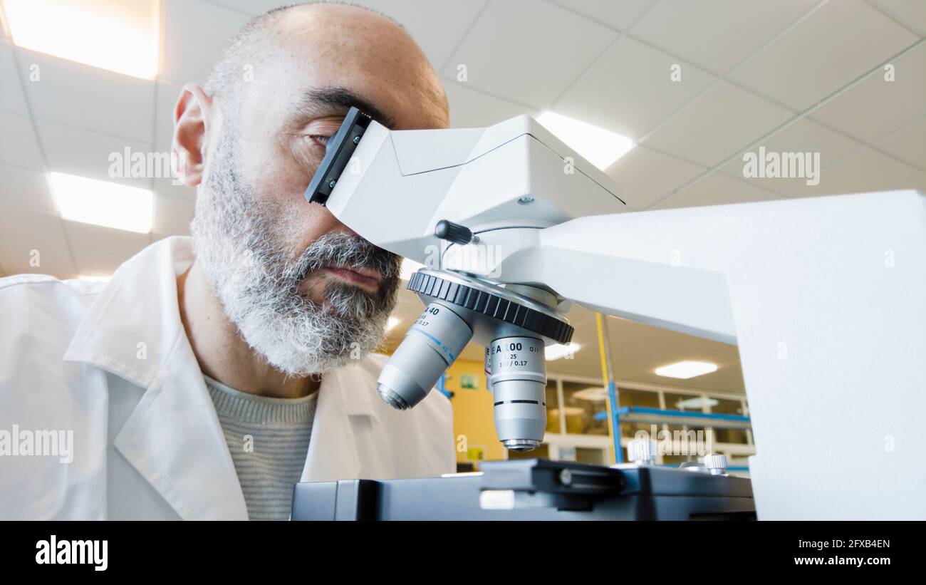Mature scientist male in his 50s wearing a lab coat looking through a ...
