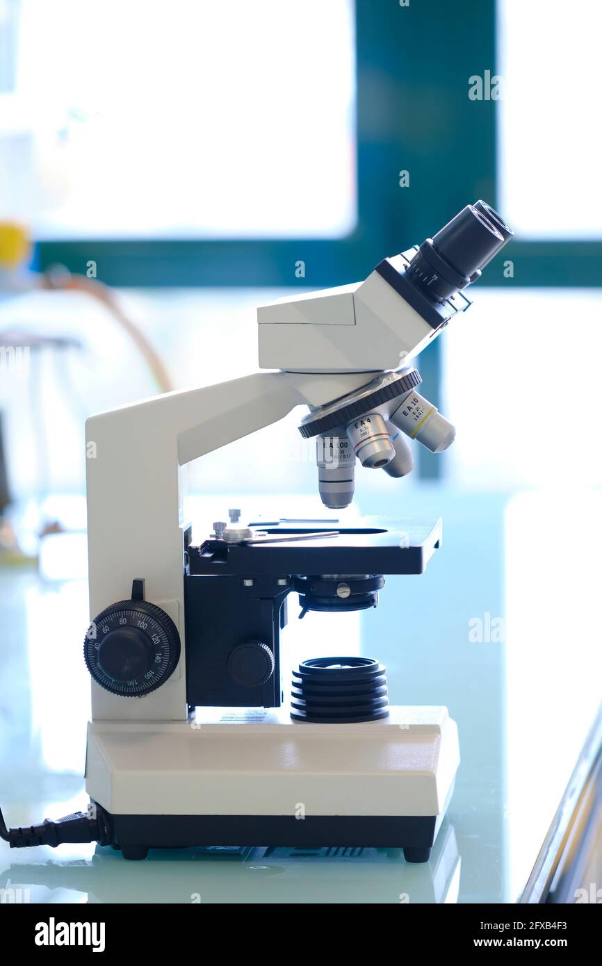 Detail of a scientific microscope in a laboratory. Basque Country ...