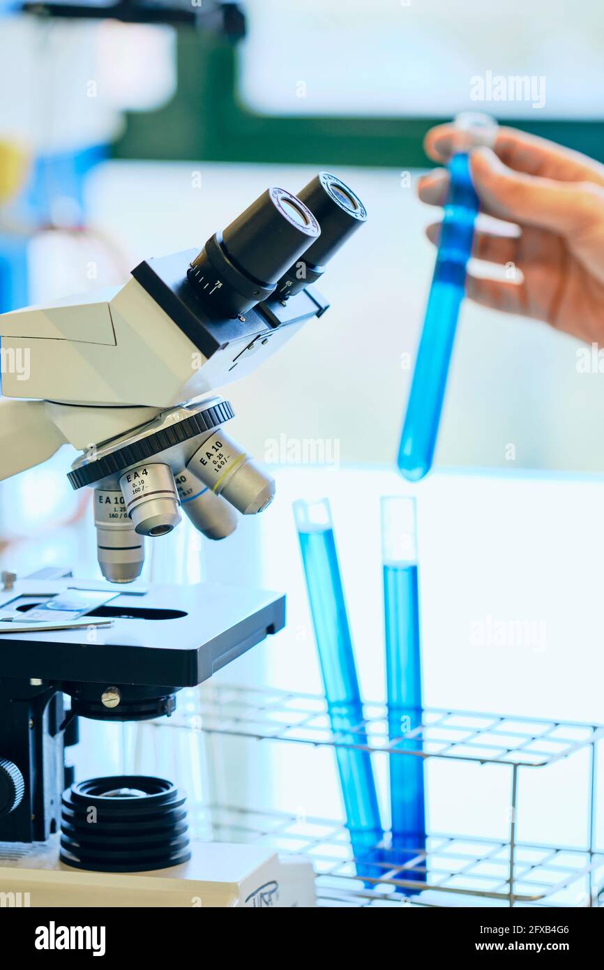 Microscope and test tubes in a scientific laboratory. Basque Country ...