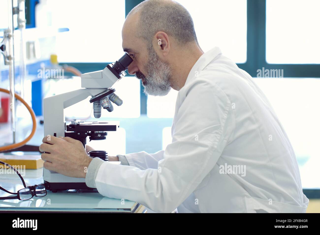 Mature scientist male in his 50s wearing a lab coat looking through a ...