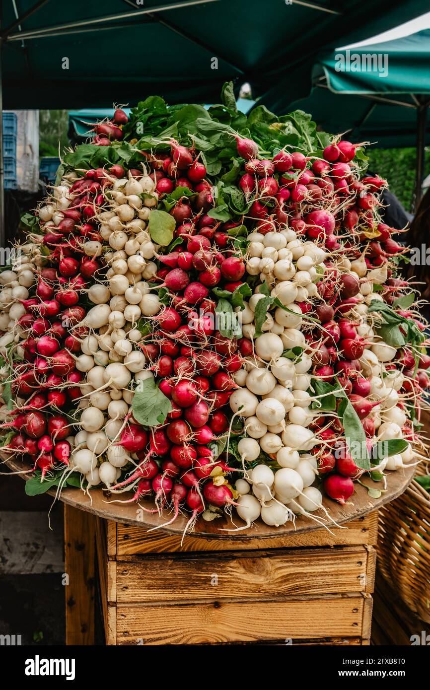 Detail of fresh white and red radish in farmers market.Edible root ...