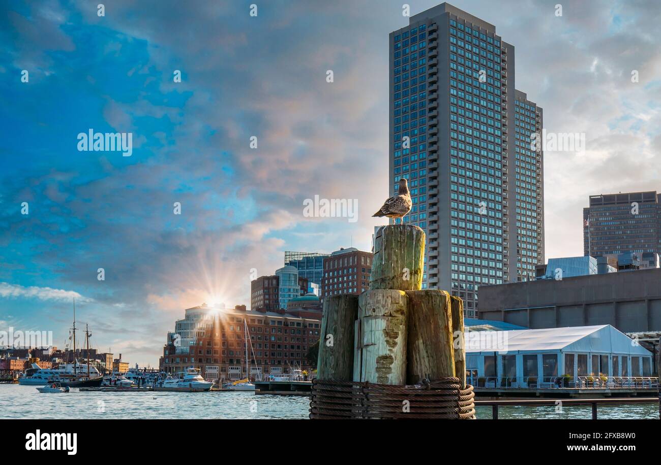 Boston city views hi-res stock photography and images - Alamy