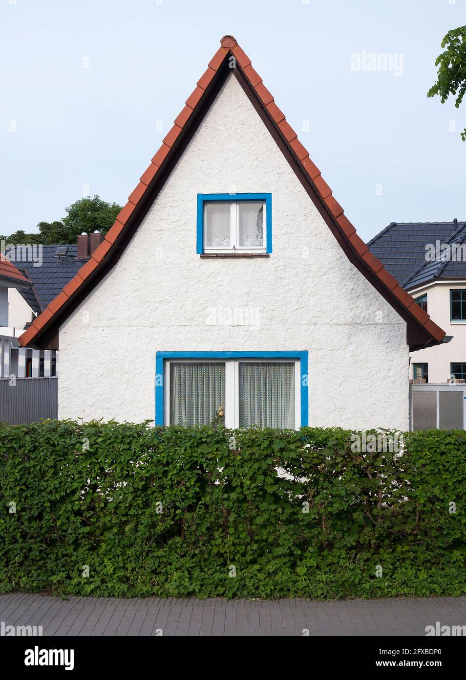 Tall plants small garden hi-res stock photography and images - Alamy