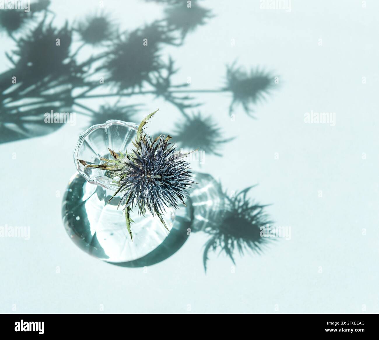 Sunlight and shadow hi-res stock photography and images - Alamy