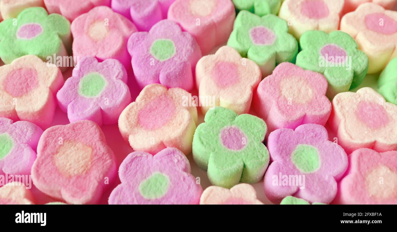 Marshmallow flower hi-res stock photography and images - Alamy