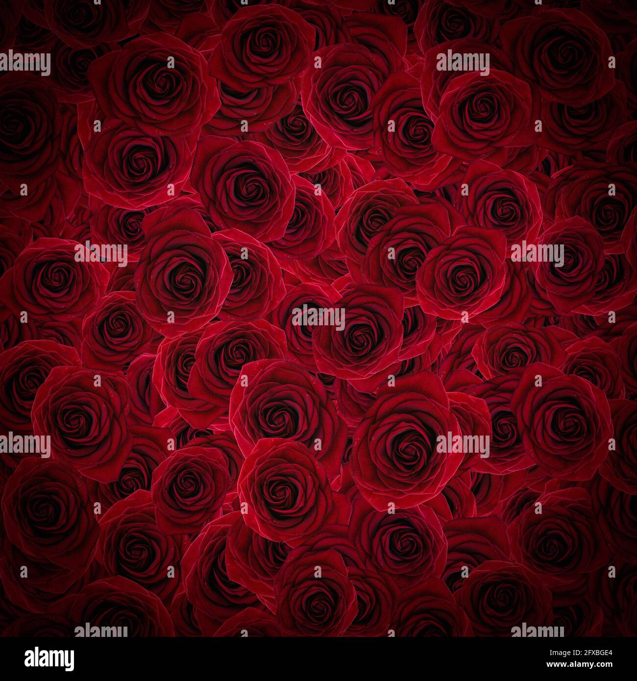 Rose Petals Background Stock Photo - Alamy