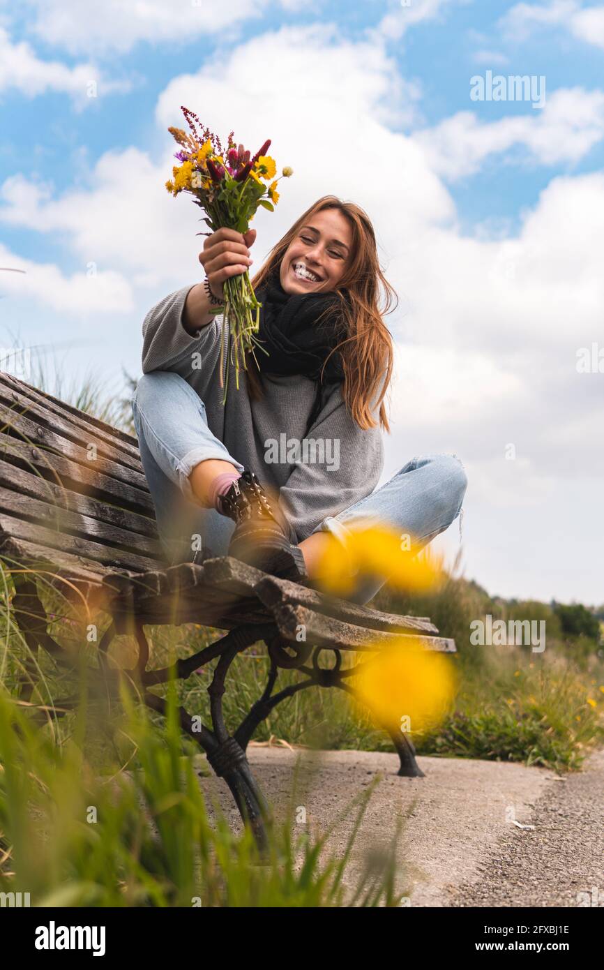 Bench in nature hi-res stock photography and images - Alamy