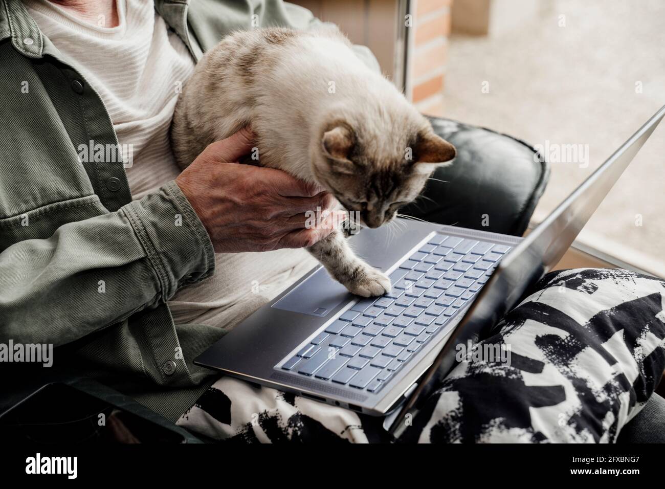 Man holding cat hi-res stock photography and images - Alamy