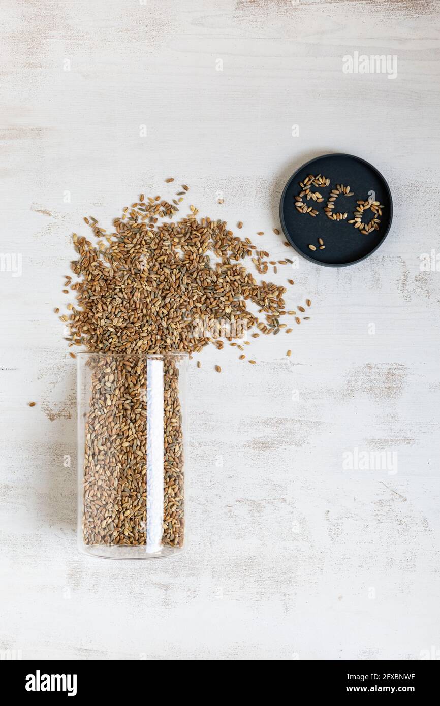 Waste seed fallen hi-res stock photography and images - Alamy