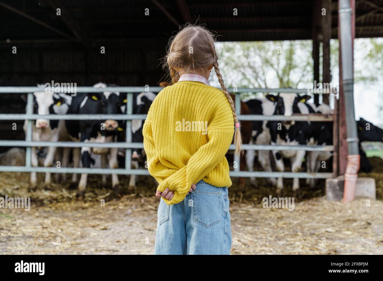 Girl wearing hair in pigtails hi-res stock photography and images - Alamy
