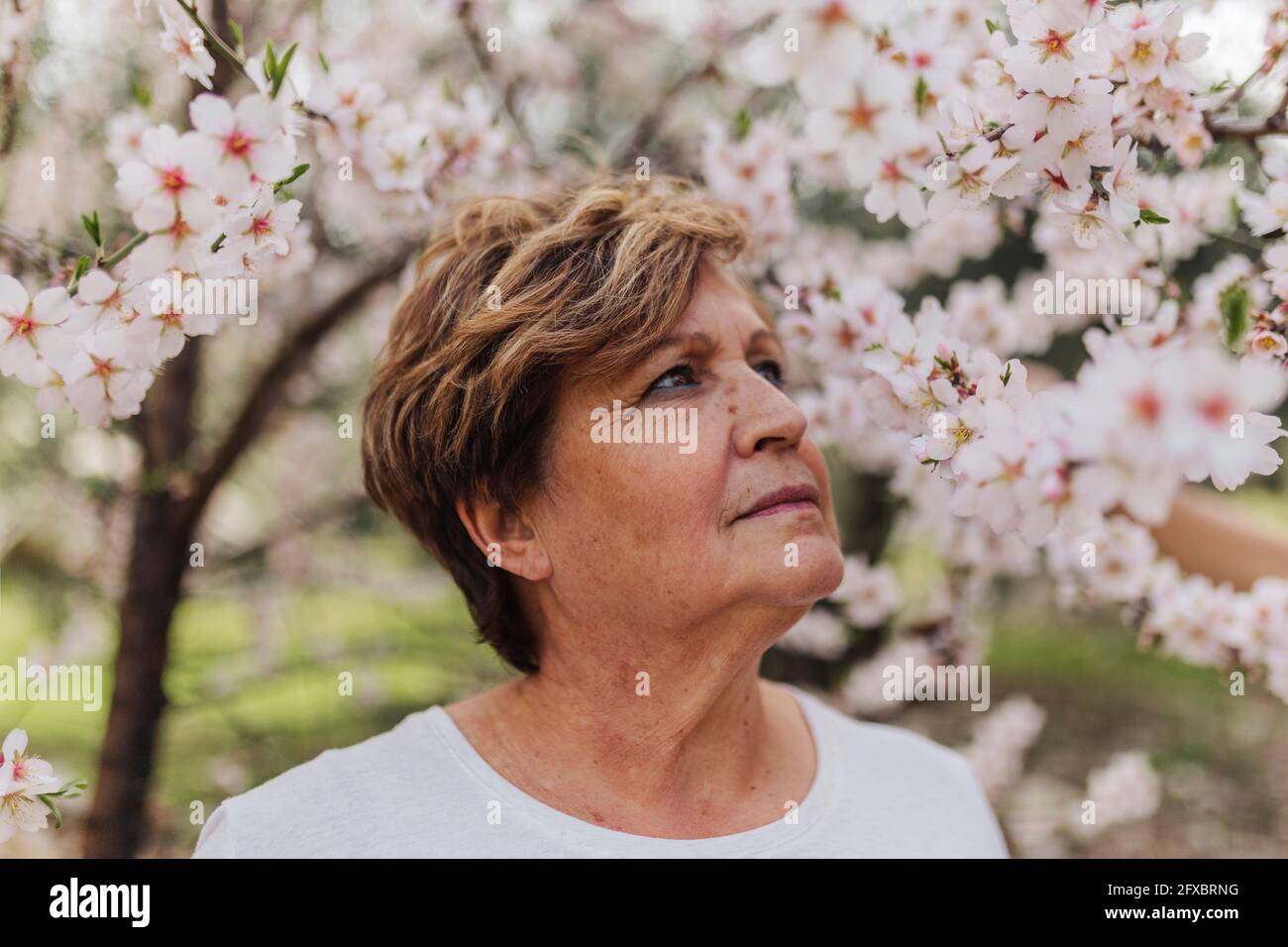 Seniors and flowers hi-res stock photography and images - Alamy