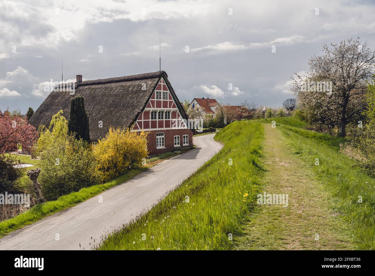 Germany, Altes Land, Half timbered house by road in spring Stock Photo ...