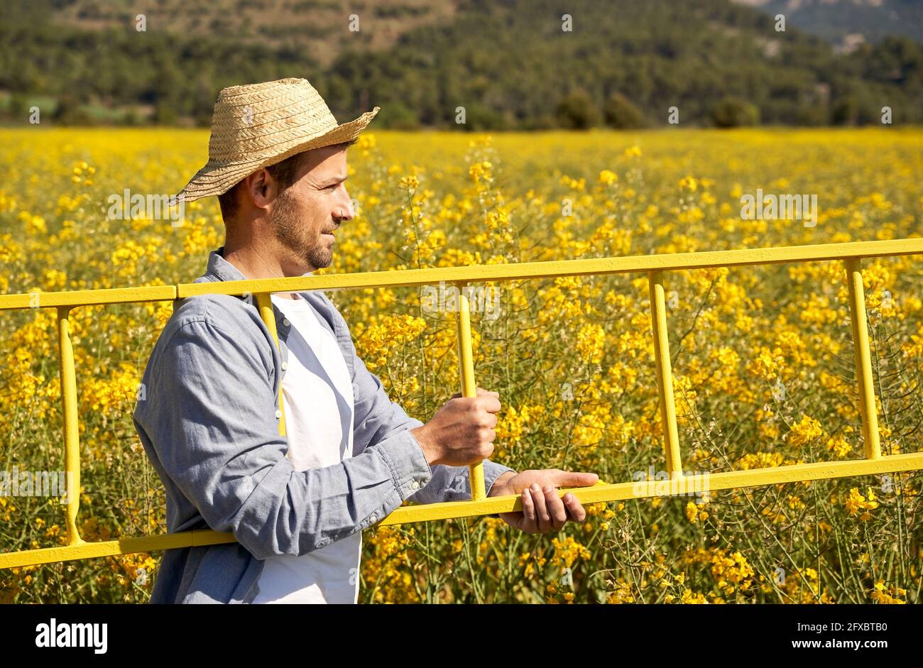 Young man wearing straw hat while holding ladder in yellow field Stock ...