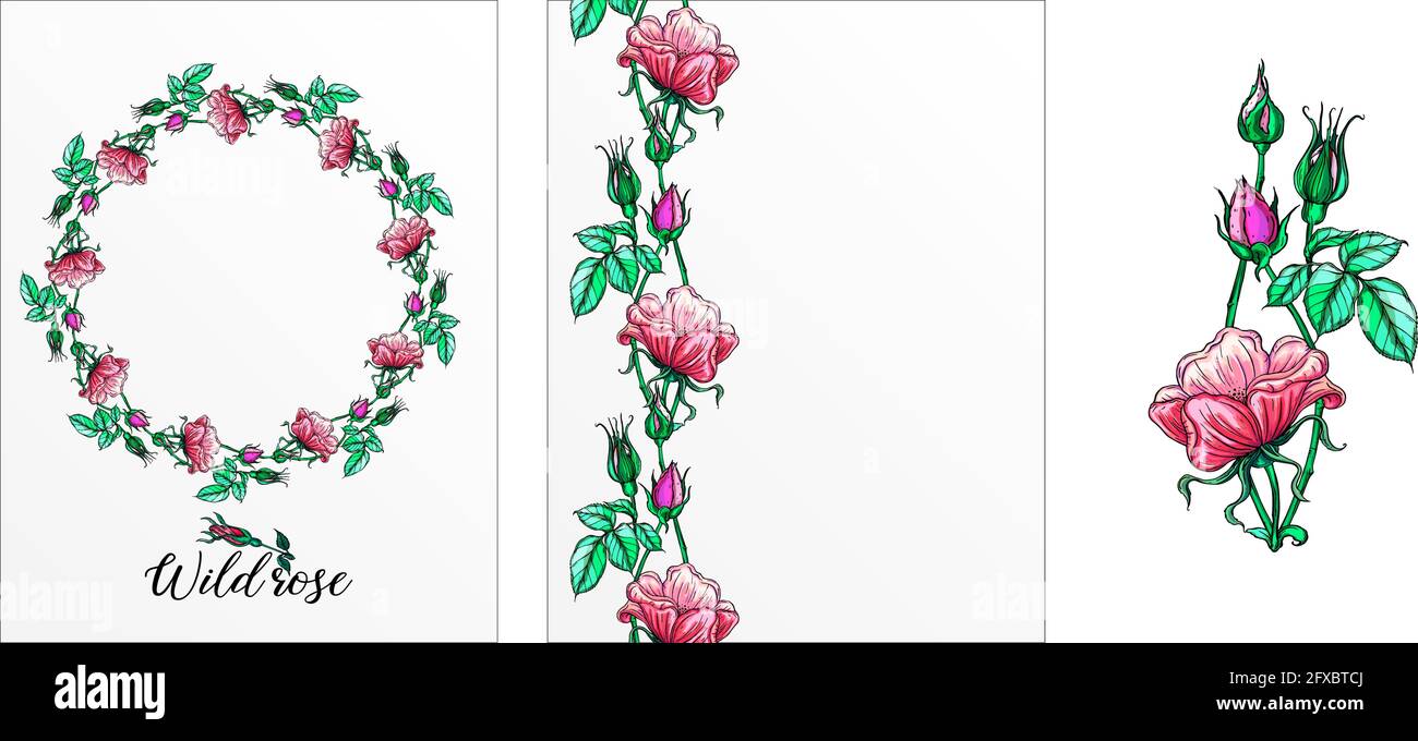 Pink rose vintage design Cut Out Stock Images & Pictures - Alamy