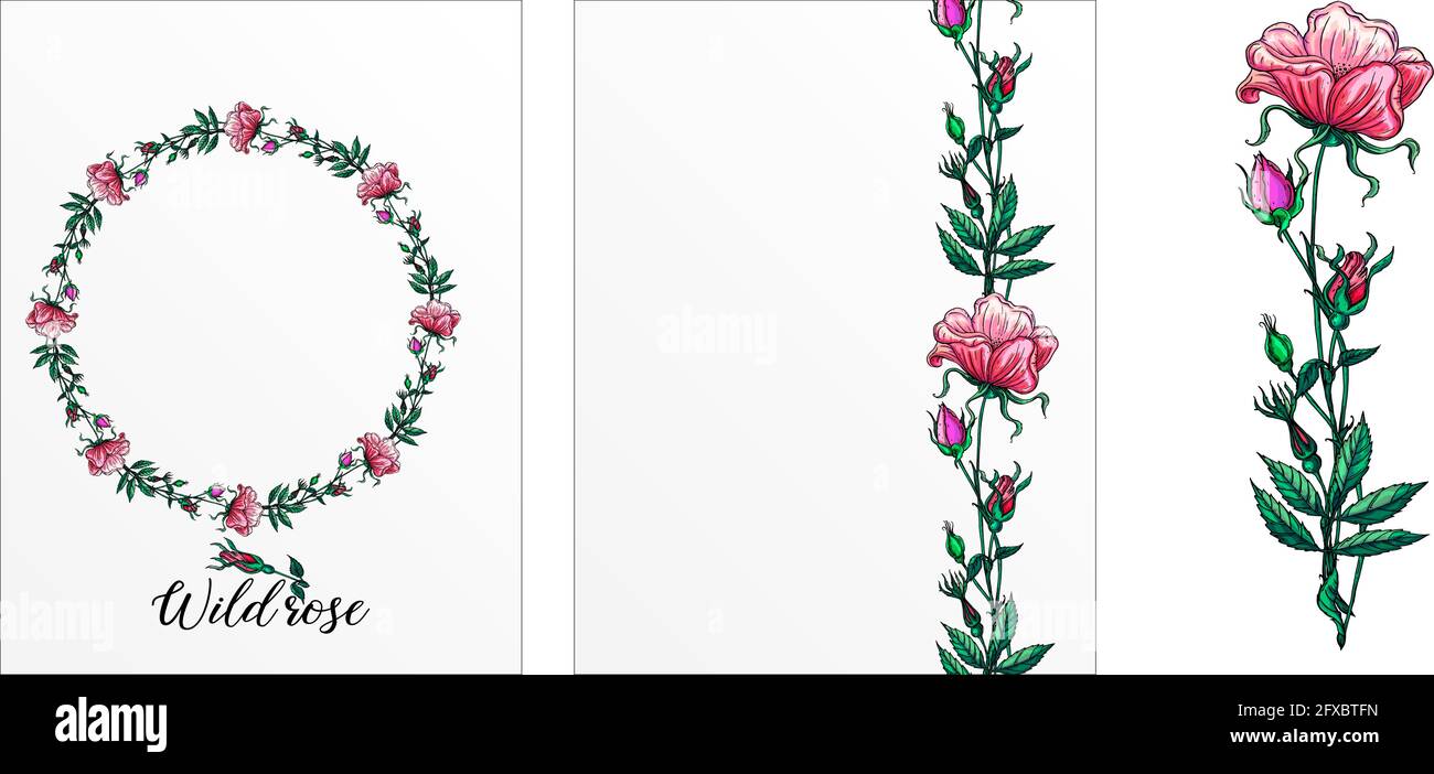 Pink rose vintage design Stock Vector Images - Alamy