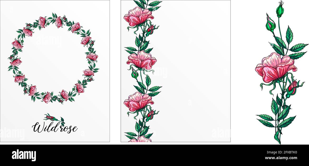 a set of postcards with rose flowers. Pink flowers. Rose Stock Vector ...