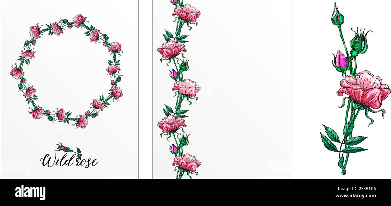 a set of postcards with rose flowers. Pink flowers. Rose Stock Vector ...