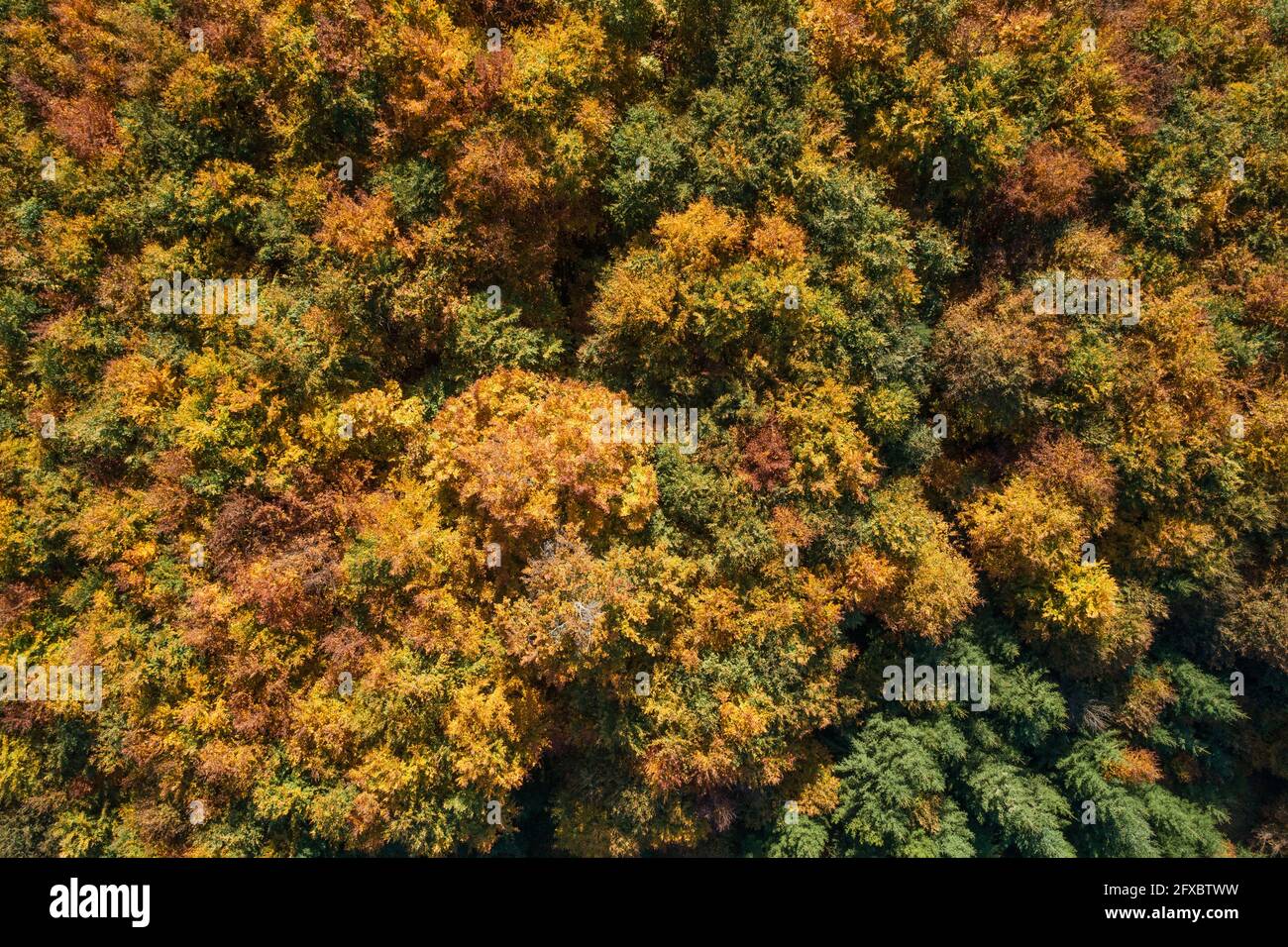 Swabian forest view hi-res stock photography and images - Alamy