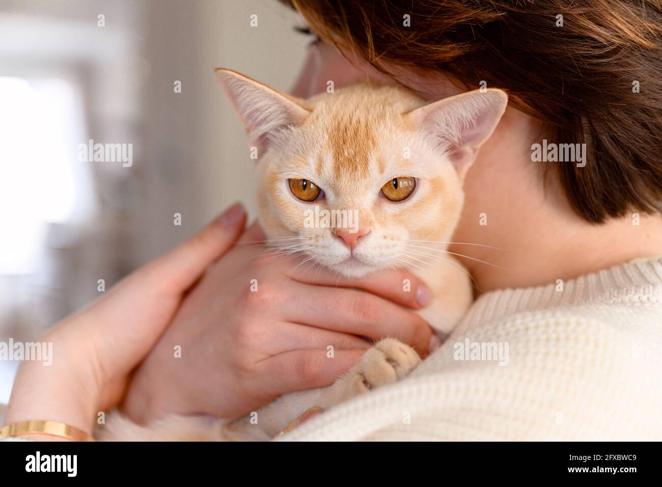 Young woman carrying cat on shoulder at home Stock Photo - Alamy