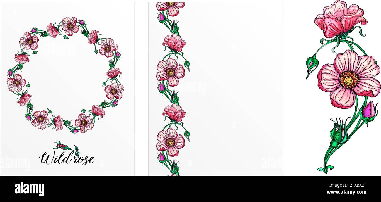 a set of postcards with rose flowers. Pink flowers. Rose Stock Vector ...