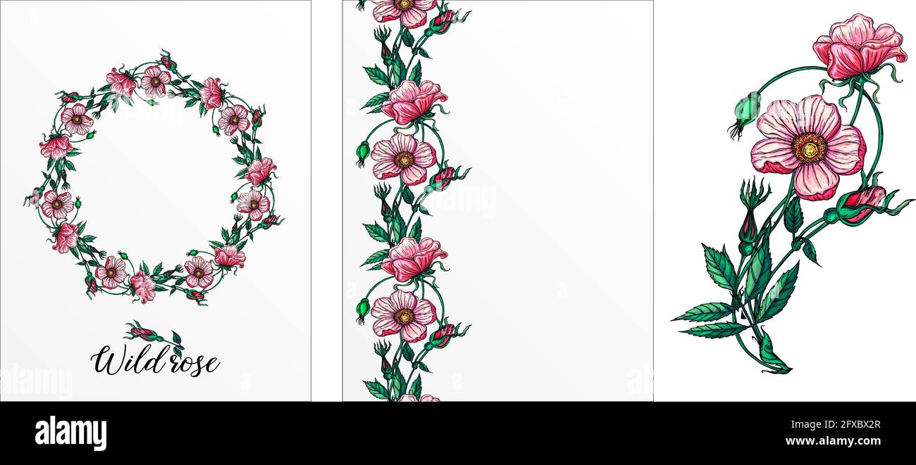 Pink rose vintage design Cut Out Stock Images & Pictures - Alamy
