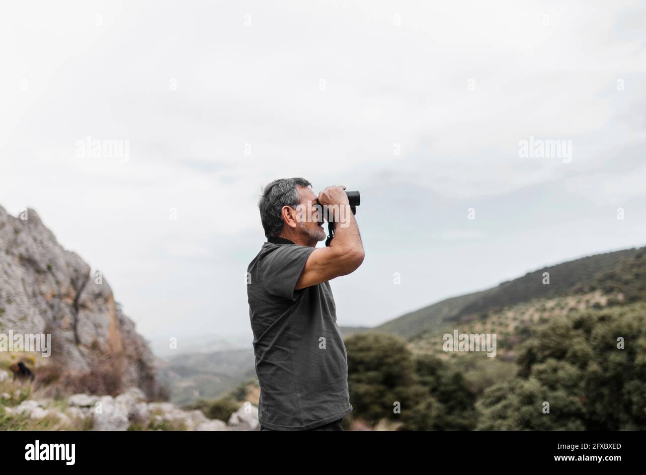 People looking view through binoculars hi-res stock photography and ...
