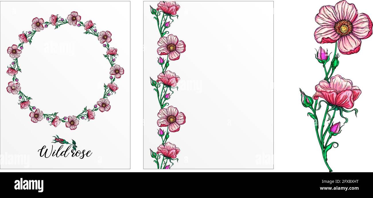a set of postcards with rose flowers. Pink flowers. Rose Stock Vector ...