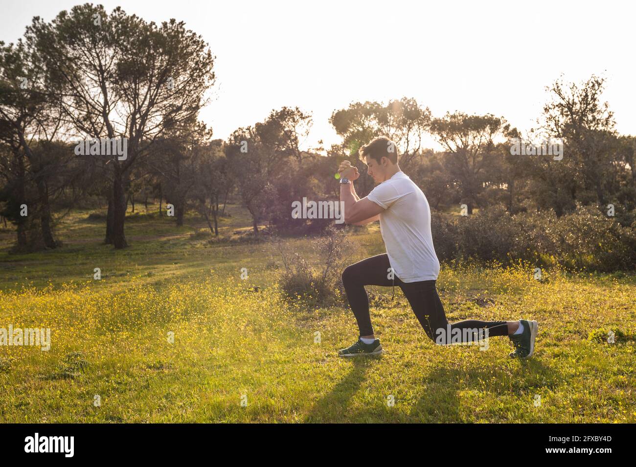 Grass area hi-res stock photography and images - Alamy