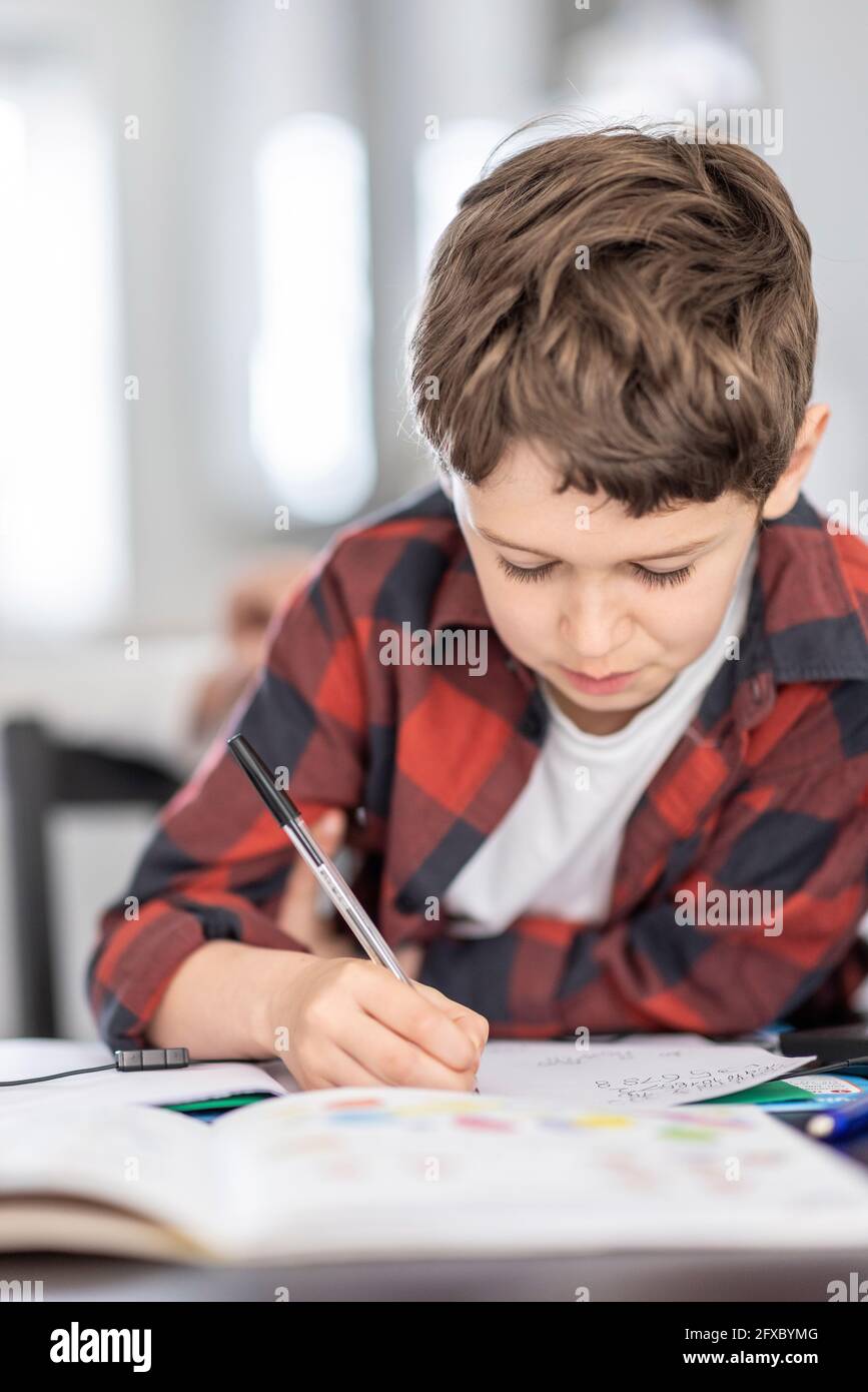 Boy with brown hair studying at home Stock Photo - Alamy