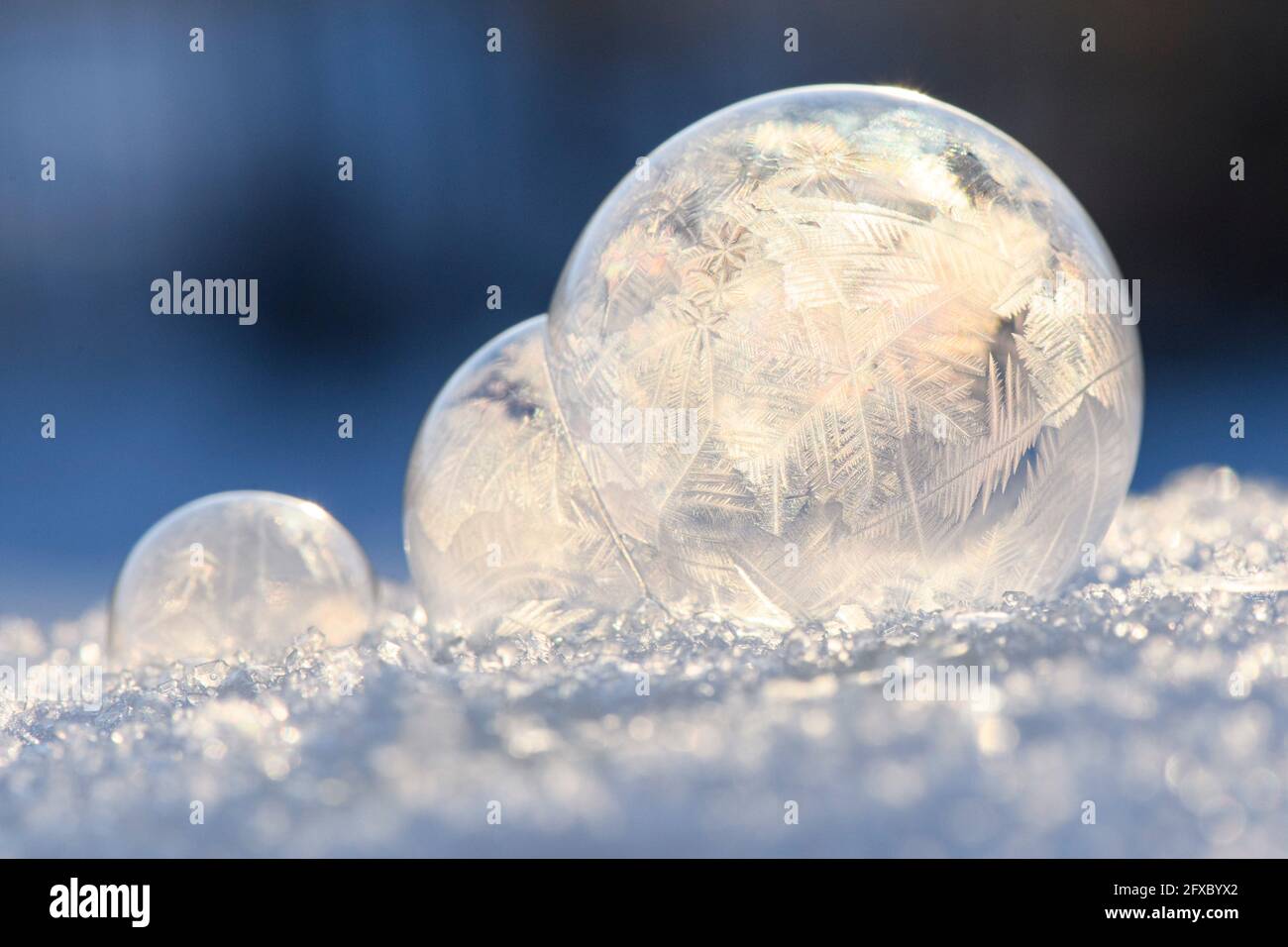 Beauty in bubbles hi-res stock photography and images - Alamy