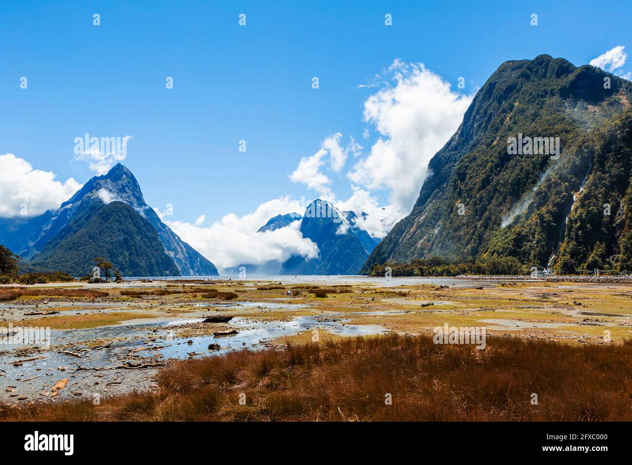 New Zealand, South Island, Milford Sound, Cloud covered mountain ...