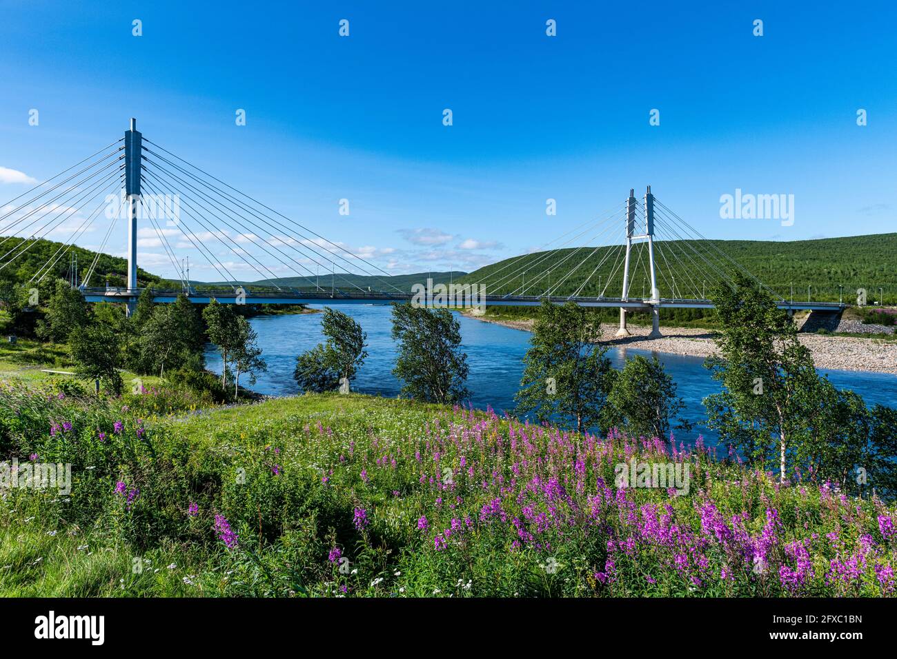 Sami Bridge stretching over Tana river in summer Stock Photo - Alamy
