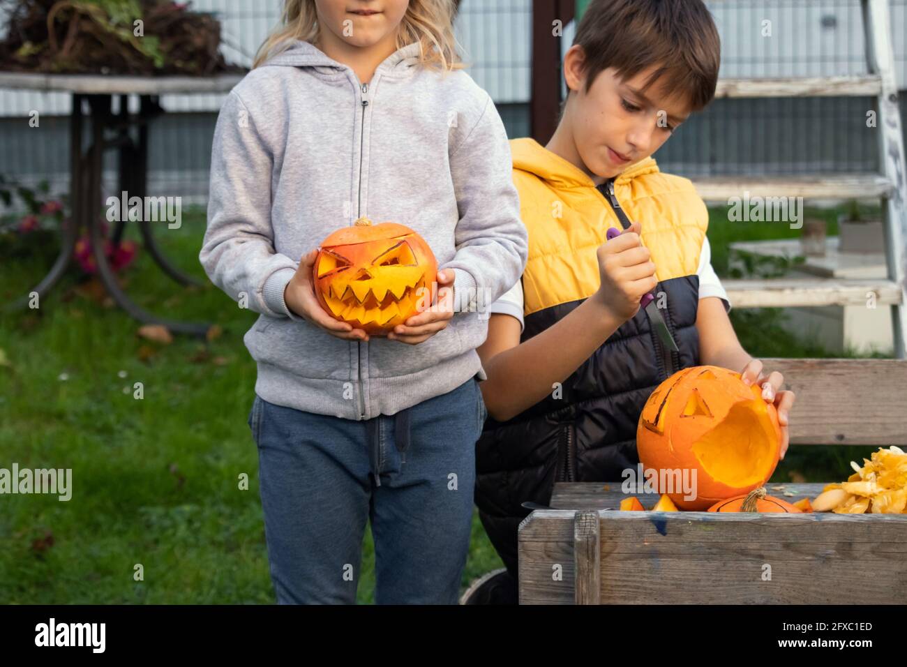 Boy and a girl carving pumpkins for halloween in the backyard. Fun ...