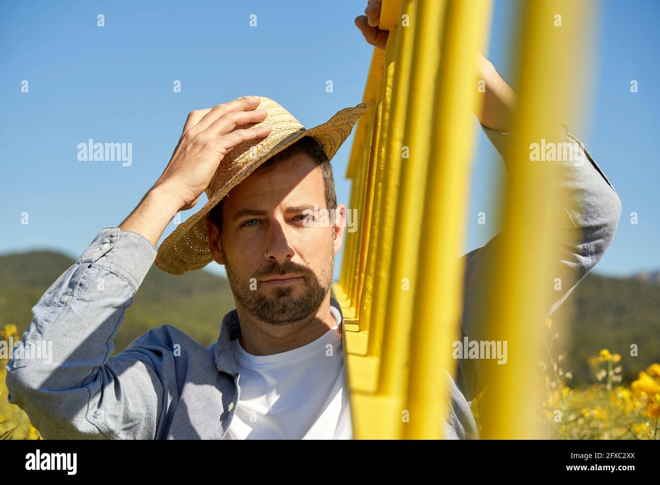 Man with straw hat carrying ladder during sunny day Stock Photo - Alamy