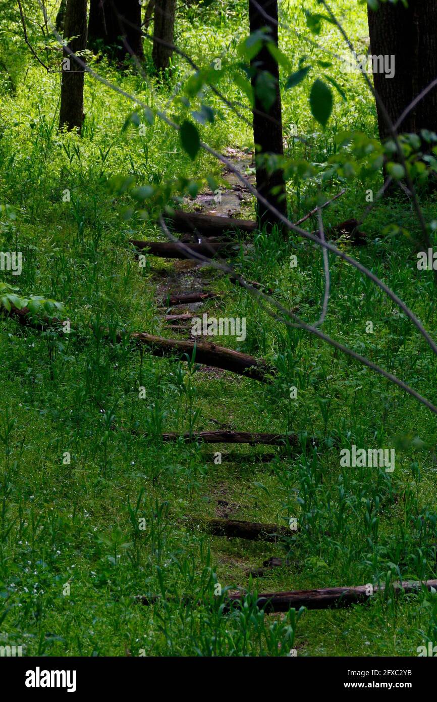 Erosion control,trail hi-res stock photography and images - Alamy