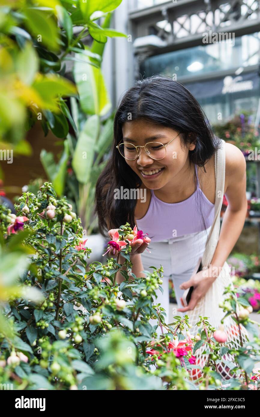 How looking this flower hi-res stock photography and images - Alamy