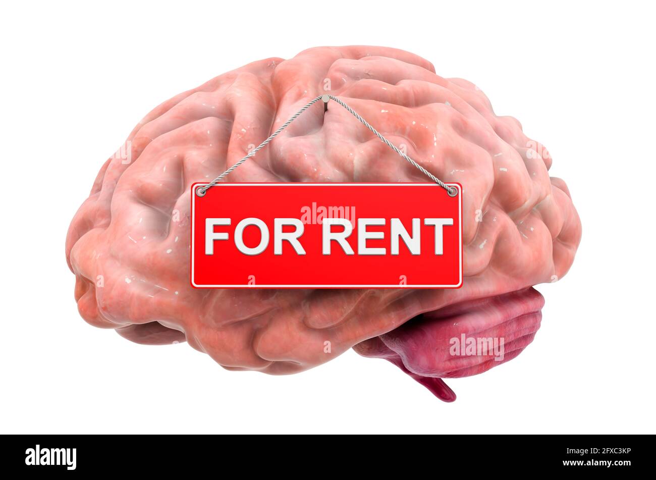 Brain with For Rent hanging sign, 3D rendering isolated on white ...