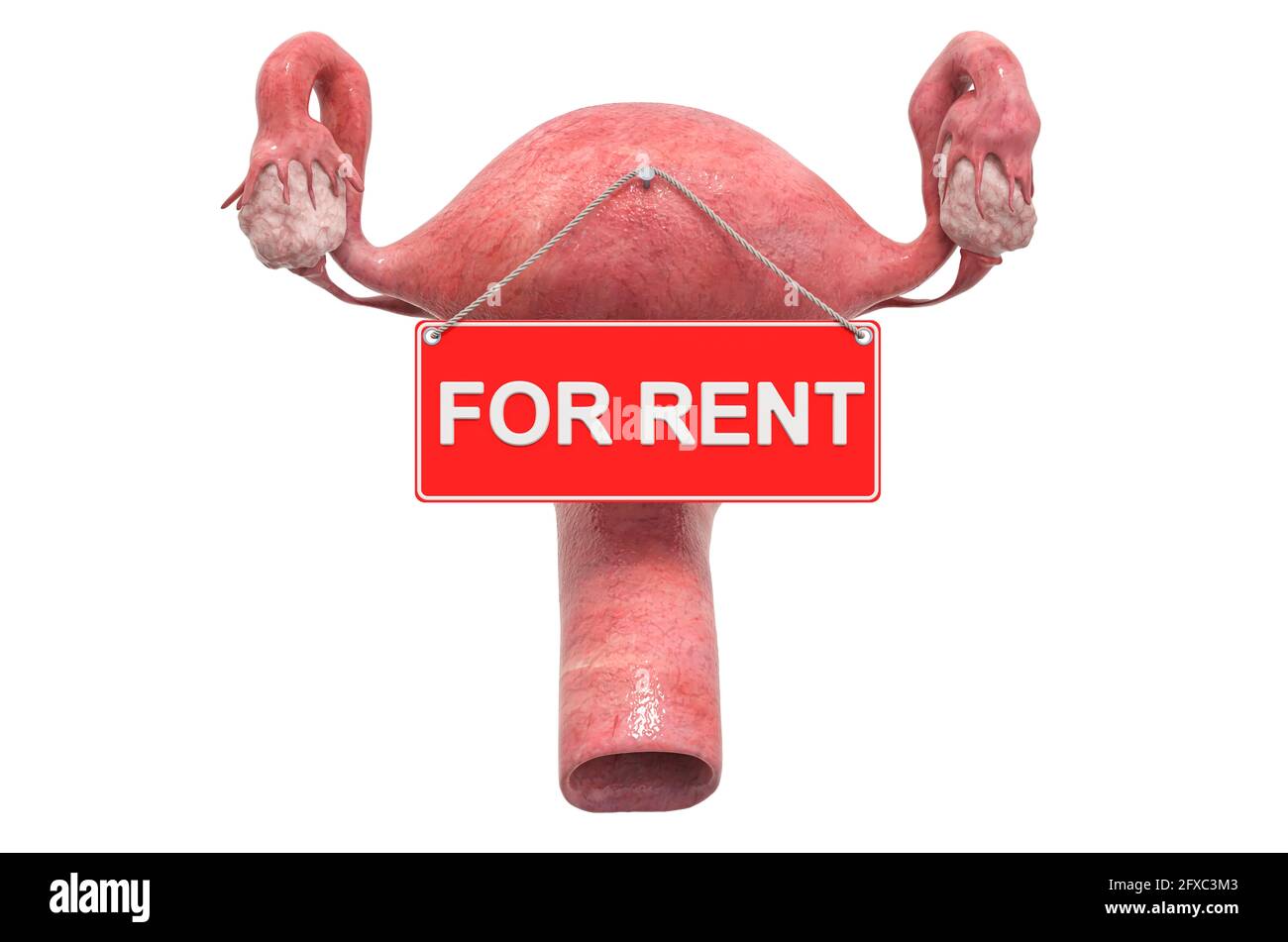 Surrogacy concept. Female uterus with For Rent hanging sign, 3D ...