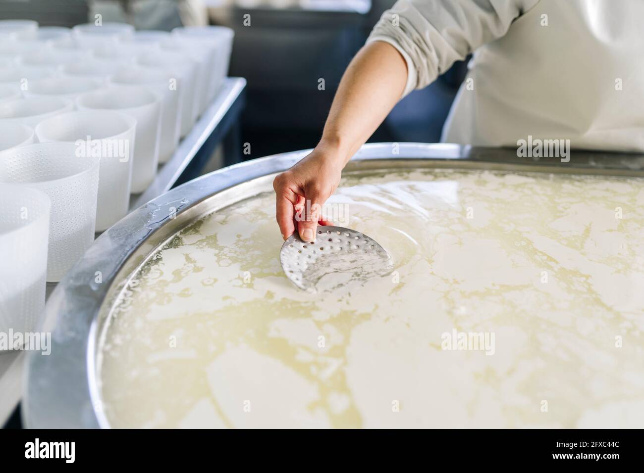 Female chef using straining spoon while making cheese in dairy factory ...