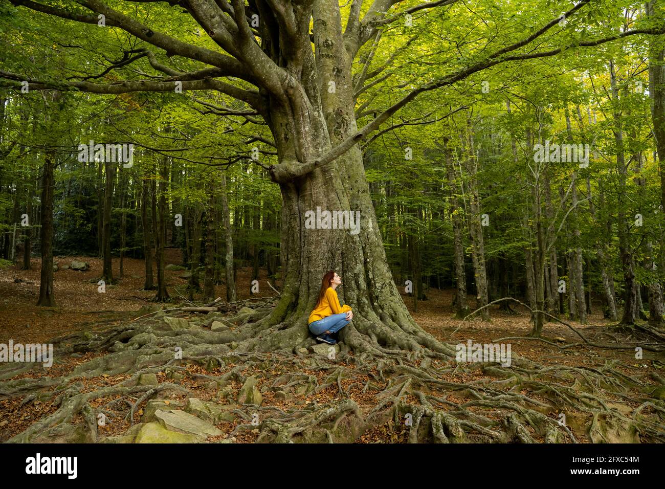 Young woman crouching by tree in forest Stock Photo - Alamy