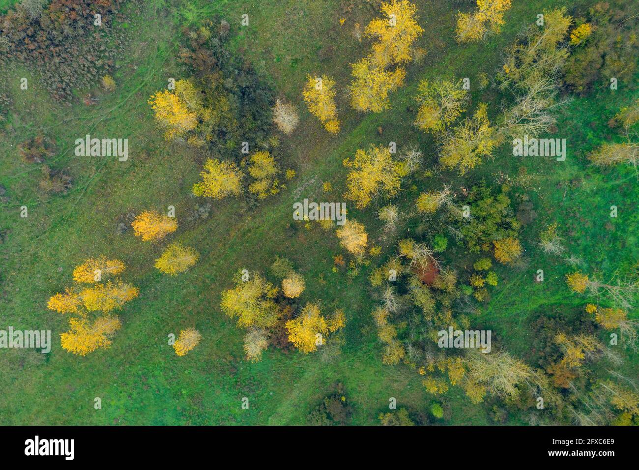 Grove view hi-res stock photography and images - Alamy