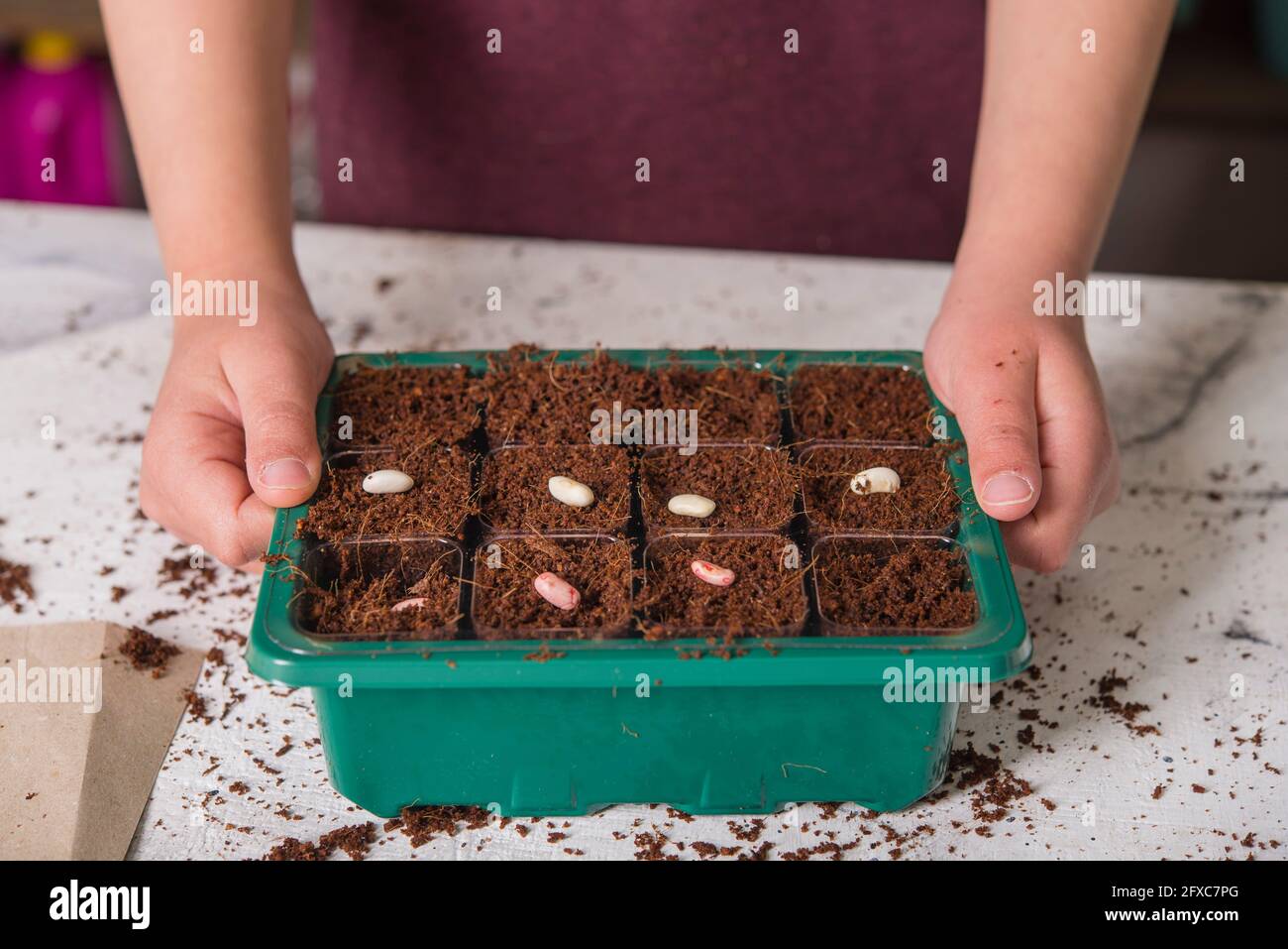 Environment day children planting hi-res stock photography and images ...