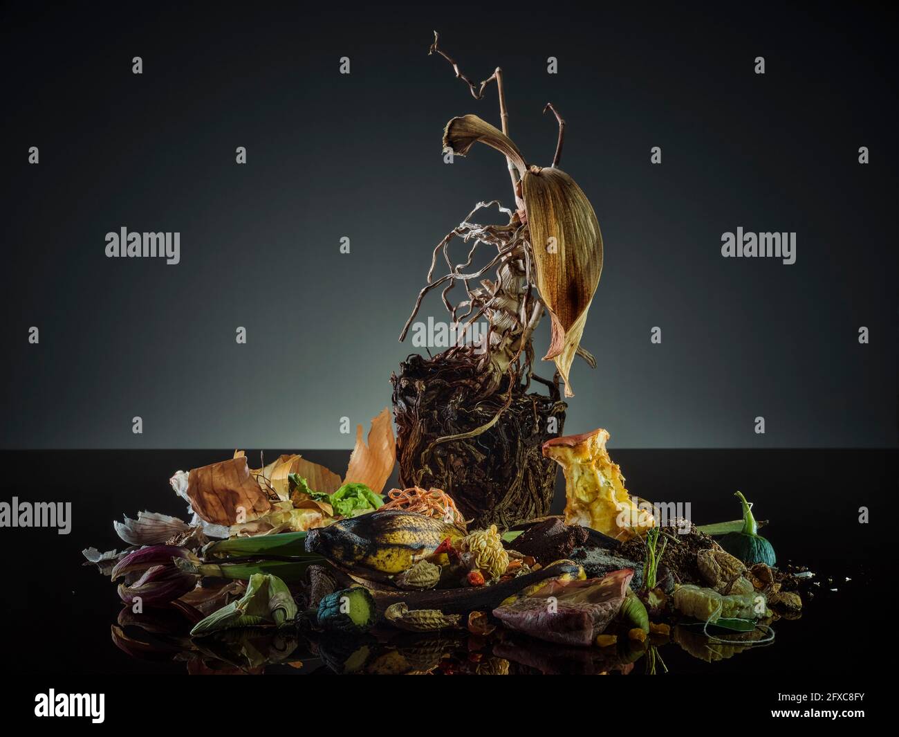 Organic waste hi-res stock photography and images - Alamy
