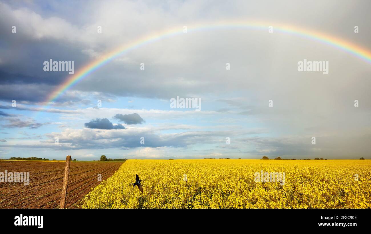 Rainbow land hi-res stock photography and images - Alamy