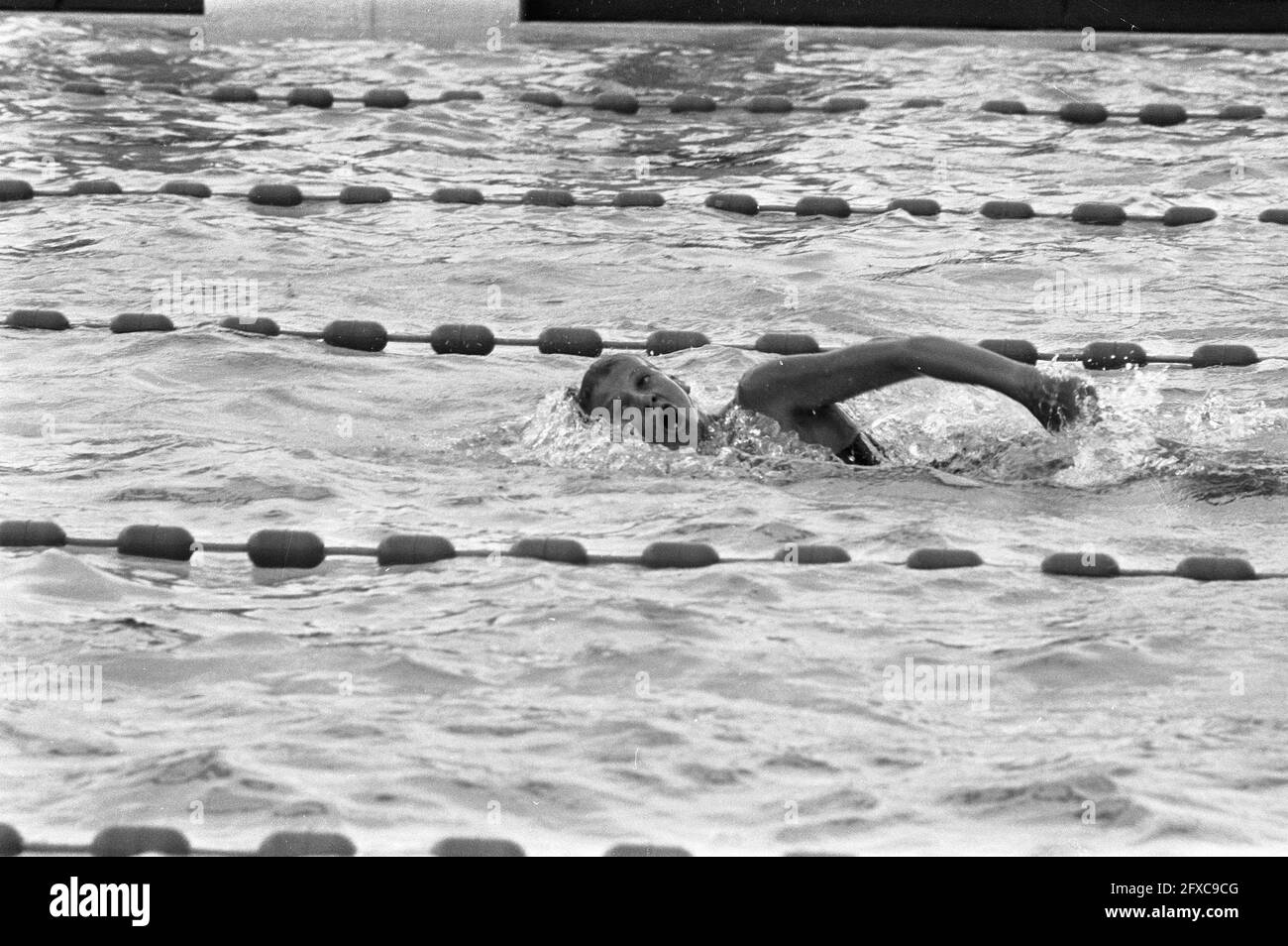 Action 800 meter freestyle hi-res stock photography and images - Alamy