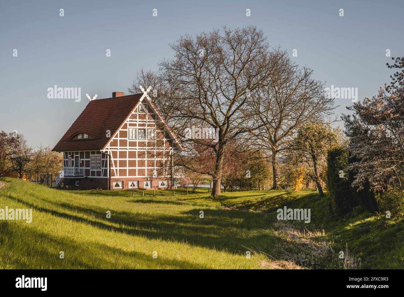 Germany, Altes Land, Idyllic rural scene with farmhouse in spring Stock ...