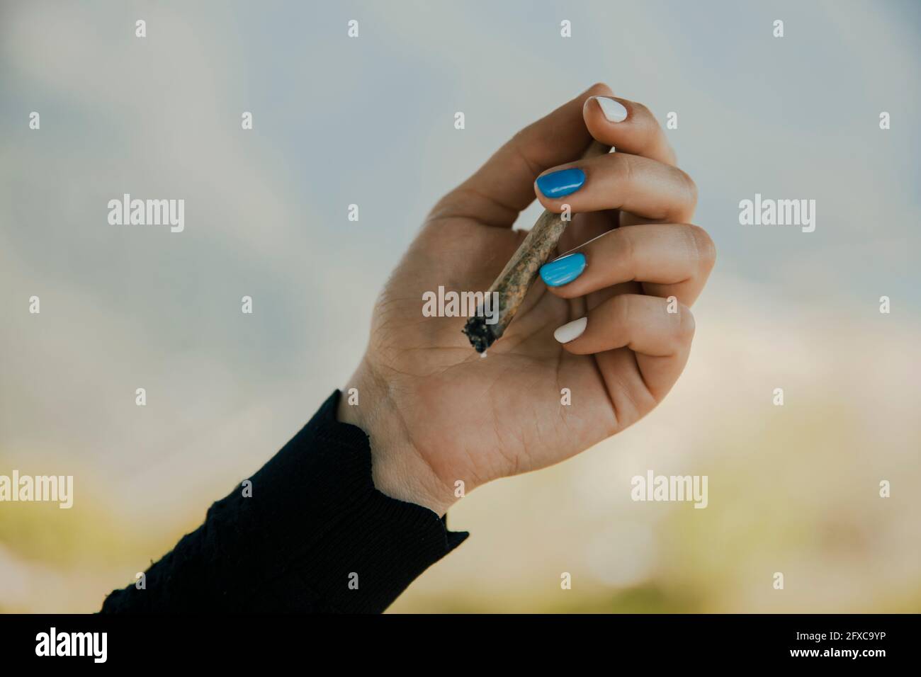 Marijuana in hand hi-res stock photography and images - Alamy