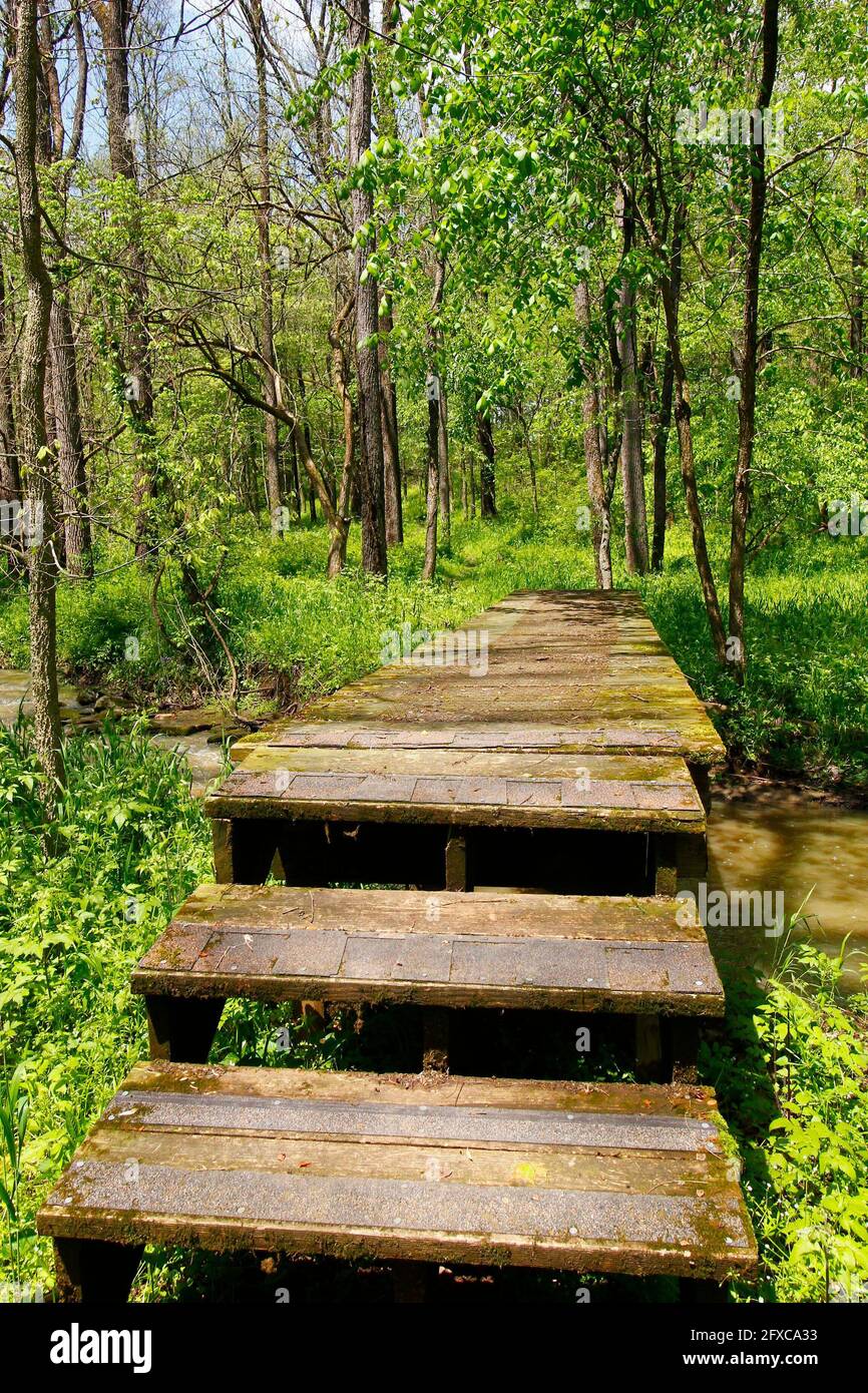 Wooden Bridge Over a Creek with Steps Stock Photo - Alamy