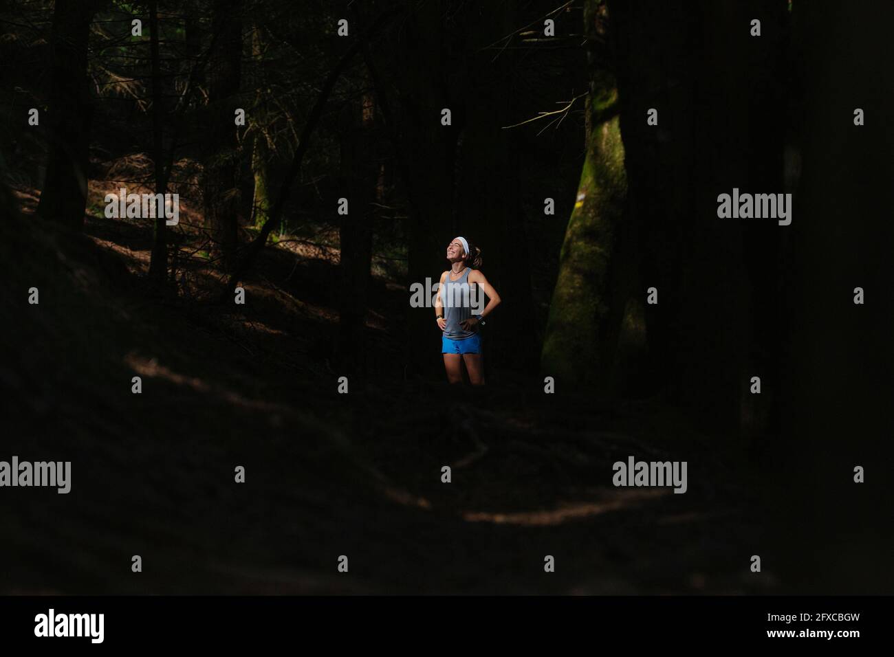 Person in dark forest hi-res stock photography and images - Alamy